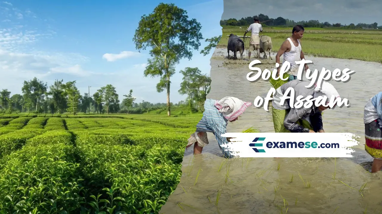 Assam GK Quick Notes